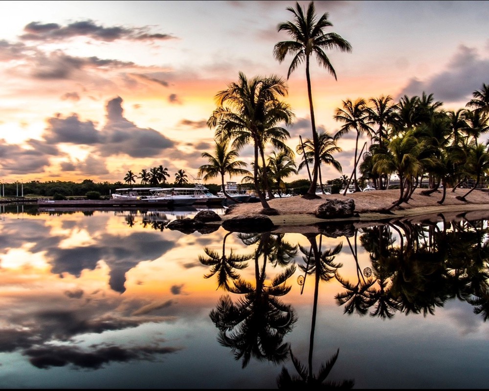 Capturing Camana Bay: Q&A with Perry Levy | Camana Bay